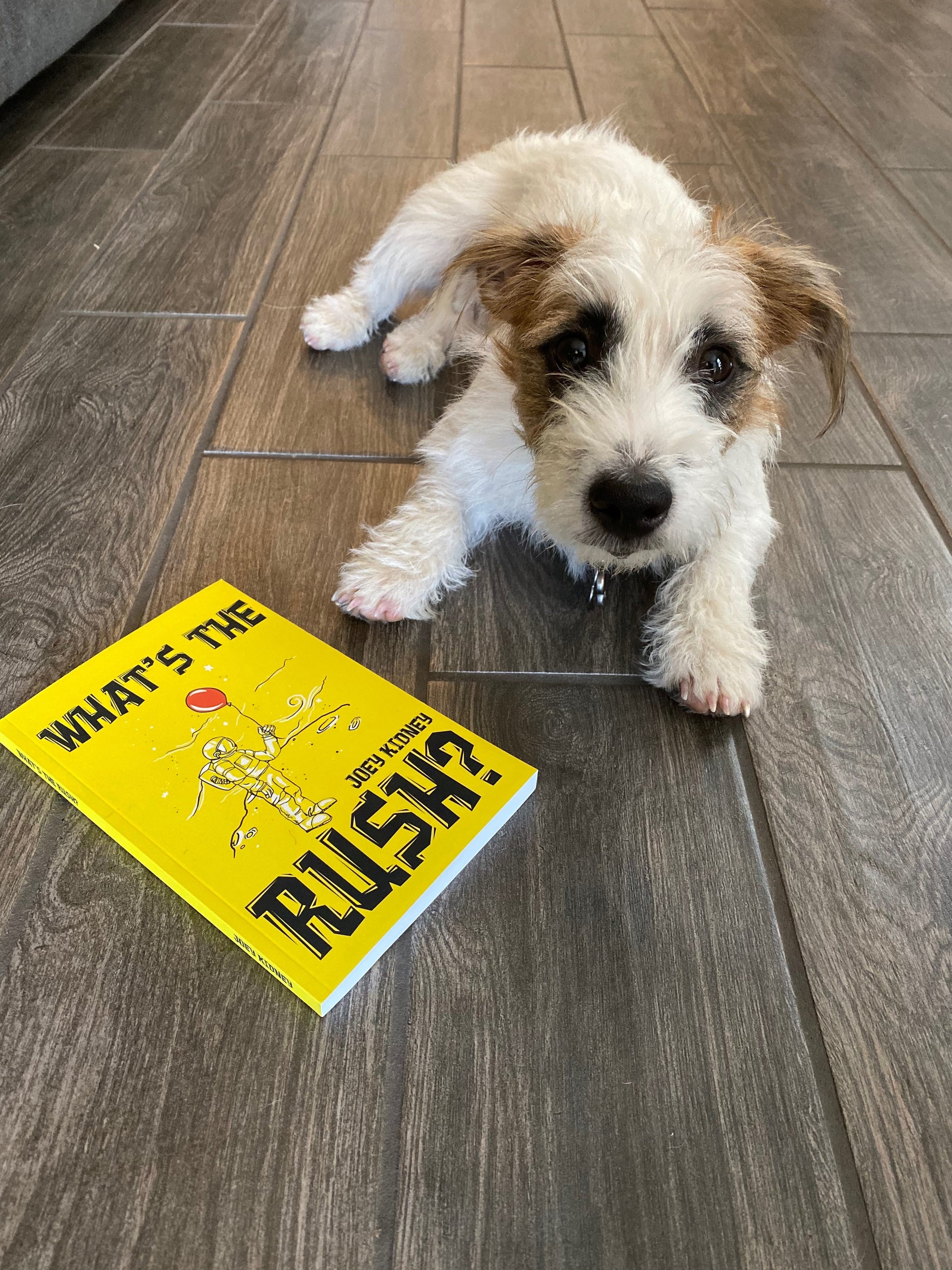 'What's the Rush?' (Book) – Stay You Shop